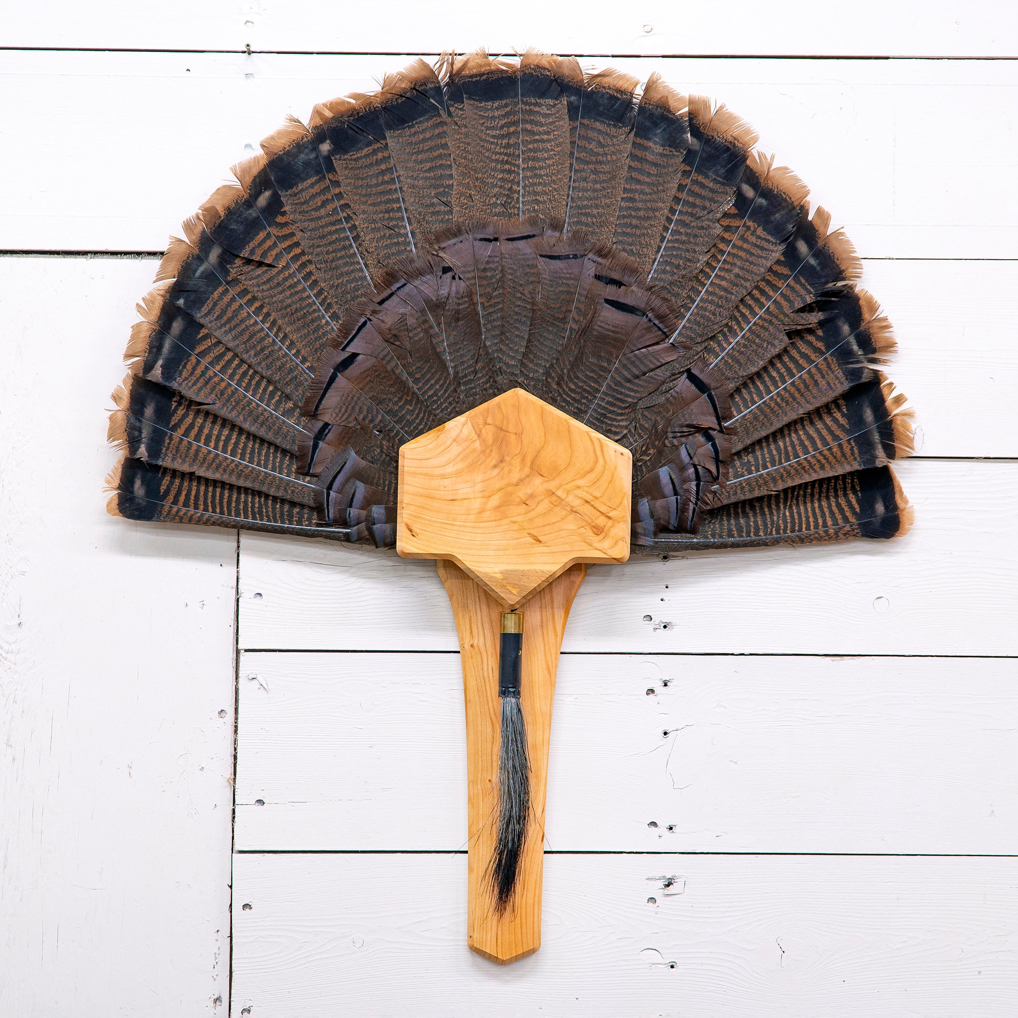 Template for DIY Turkey Mount - Fan and Beard Plaque - Etsy