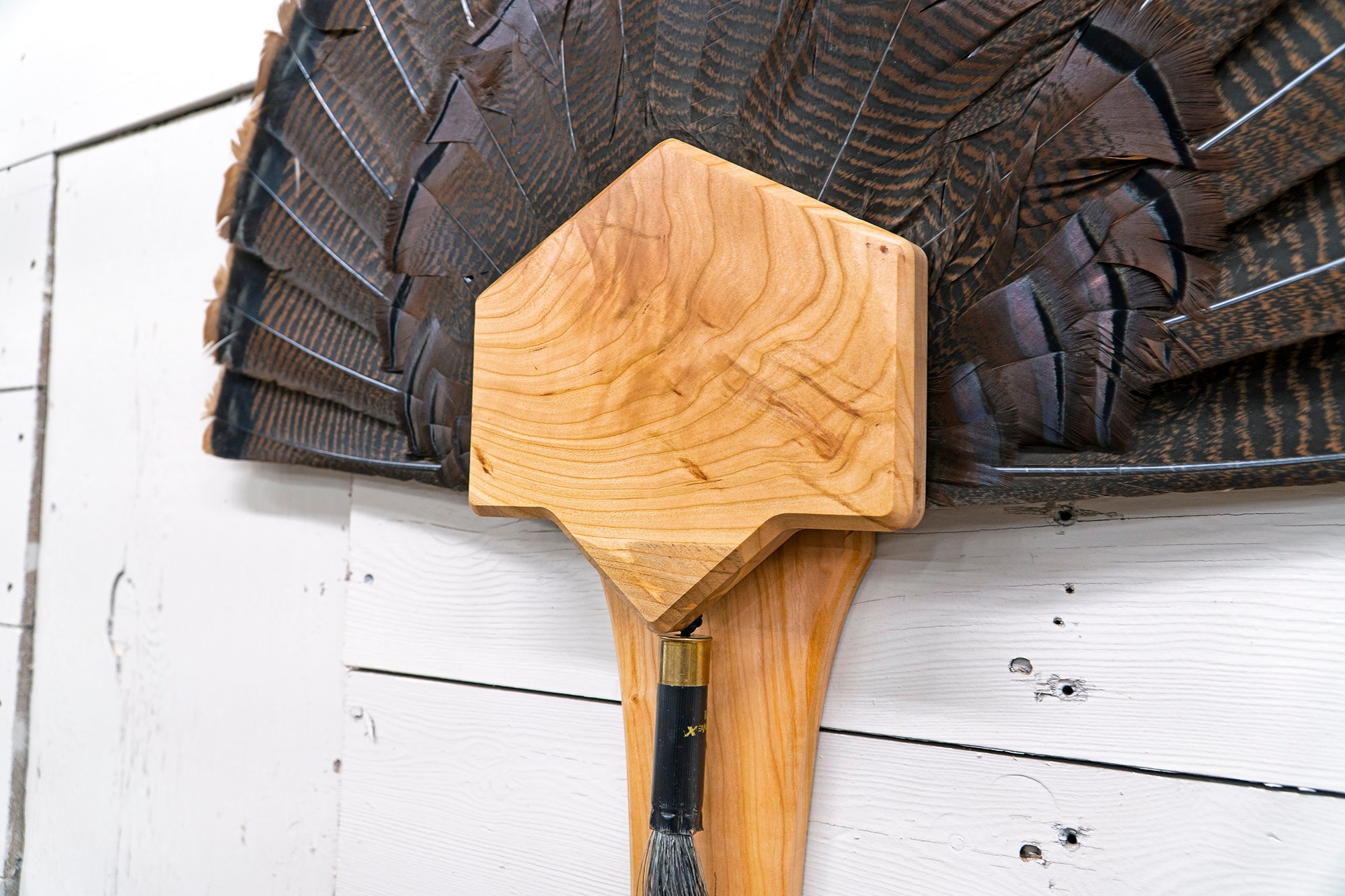 Template for DIY Turkey Mount - Fan and Beard Plaque - Etsy