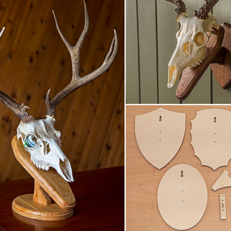 Deer Mount Plaque Templates - Etsy