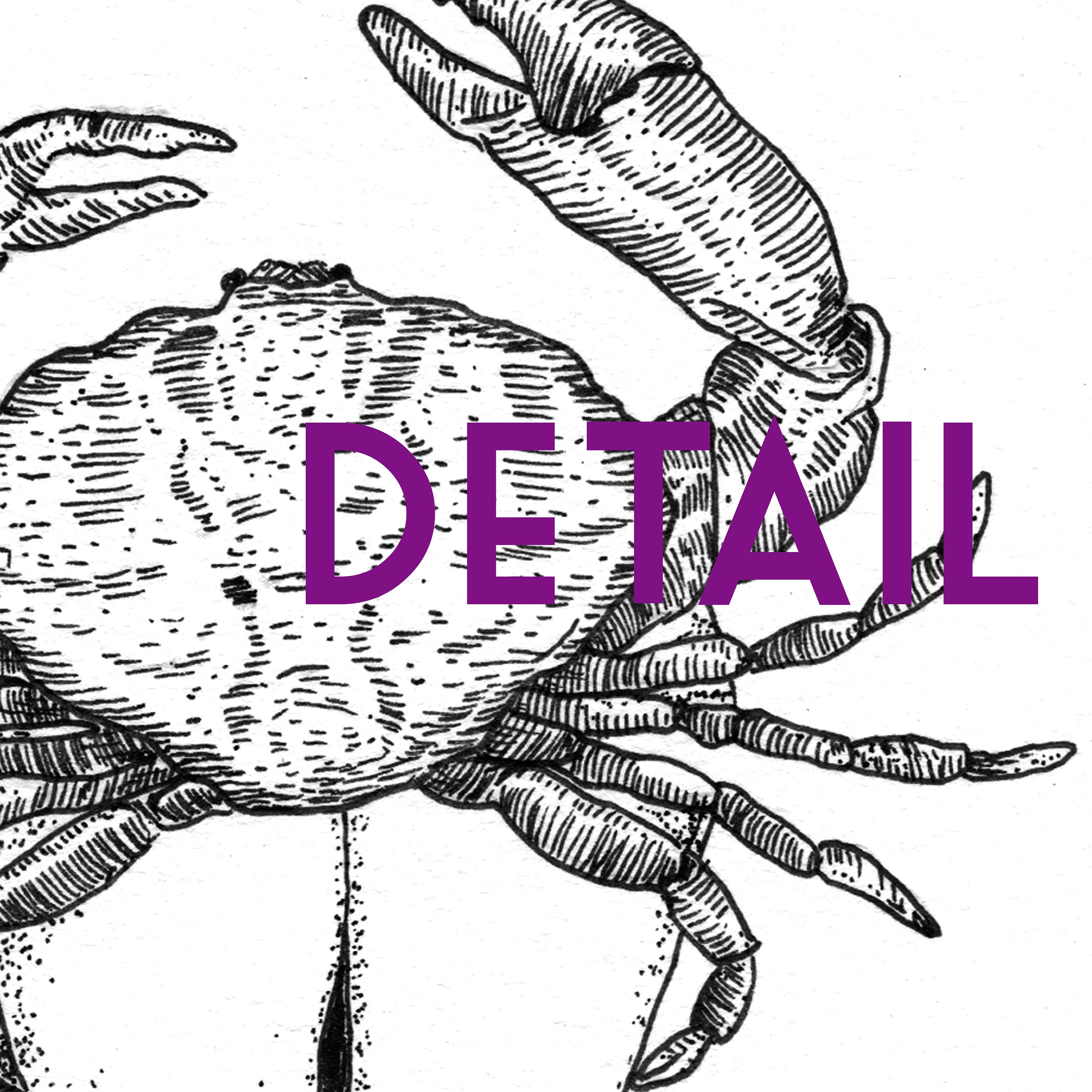 Cancer Zodiac Original Ink Drawing, Hand Drawn Female Figure With Crab ...