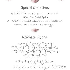 Wedding Font Script Font Featherly Bold Font Calligraphy Font Cursive ...