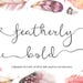 Wedding Font Script Font Featherly Bold Font Calligraphy Font Cursive ...