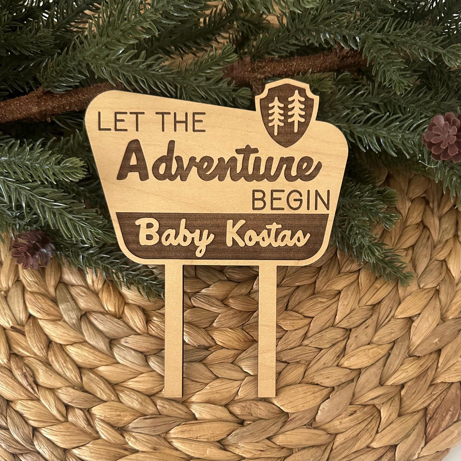 Custom National Park Cake Topper, Let the Adventure Begin Cake Topper ...