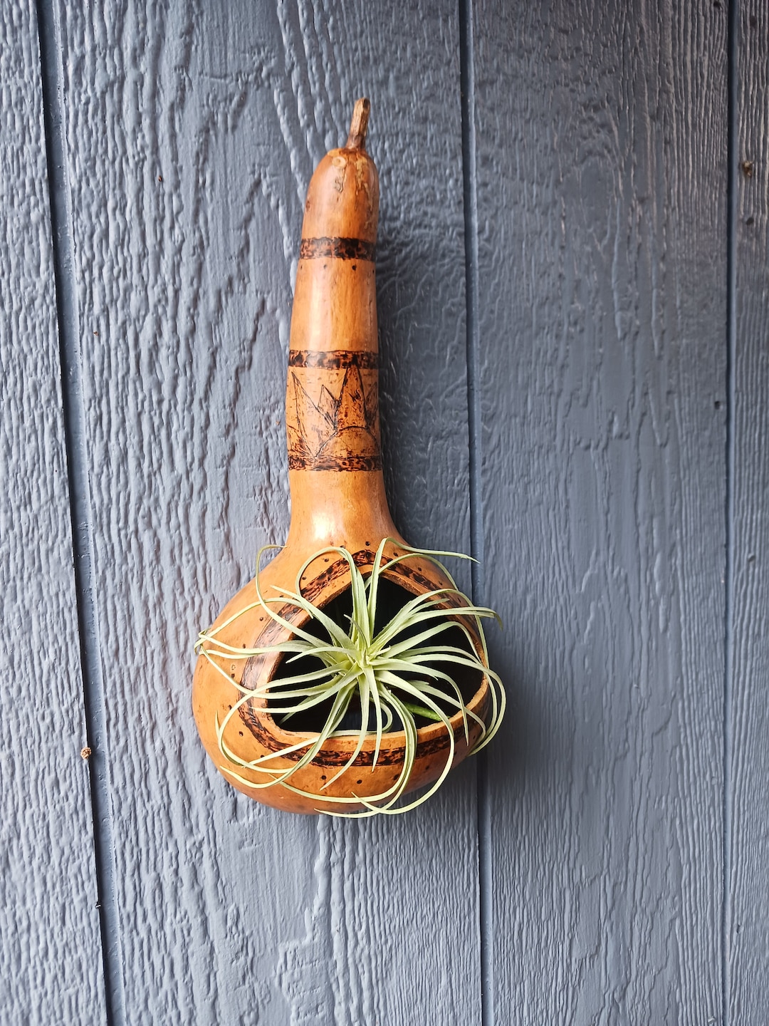 Hanging Carved Gourd for Floral Display - Etsy
