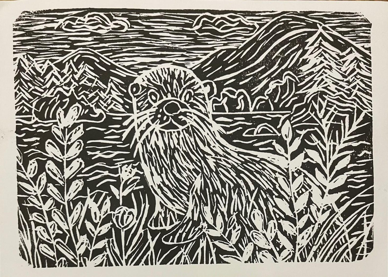 River Otter Print, Block Print, Nature Art, Wall Art, Limited Edition ...