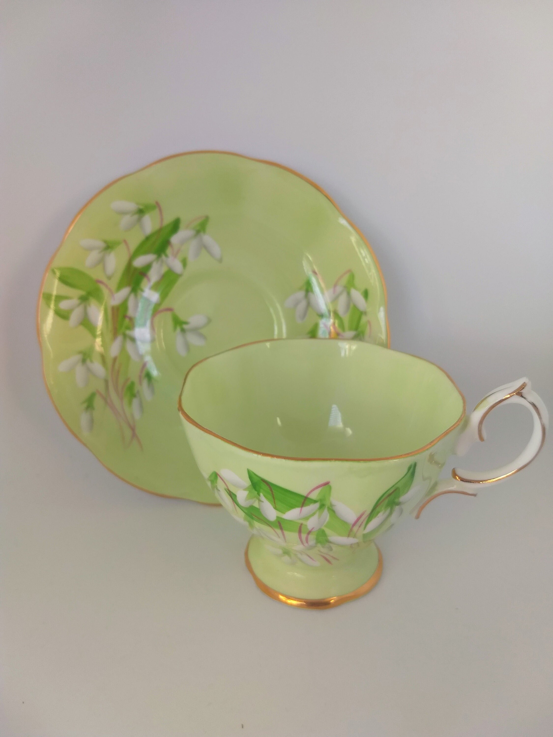 ROYAL ALBERT Laurentian Snowdrop Tea Set/rare Collectible Green & White ...
