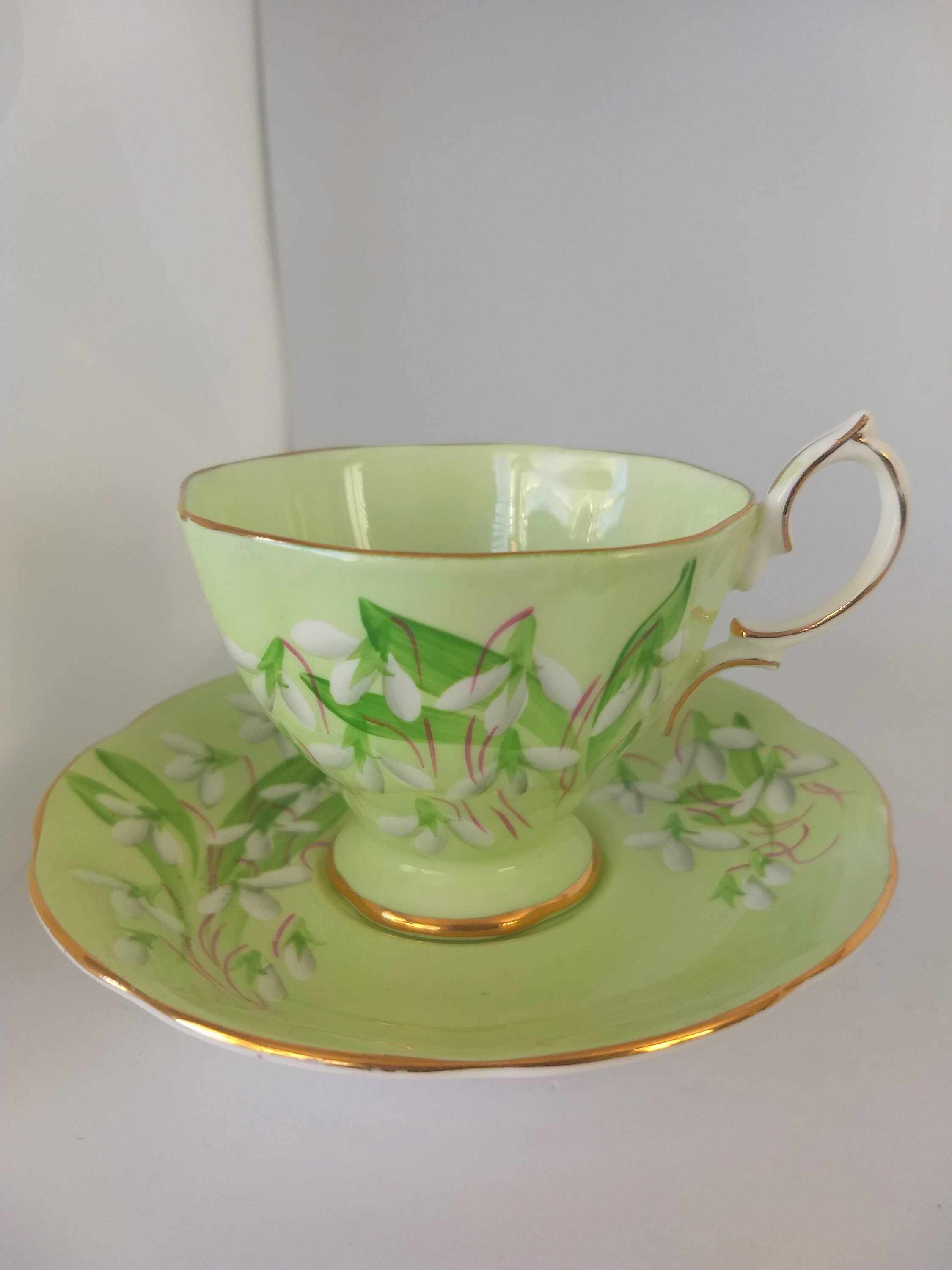 ROYAL ALBERT Laurentian Snowdrop Tea Set/rare Collectible Green & White ...