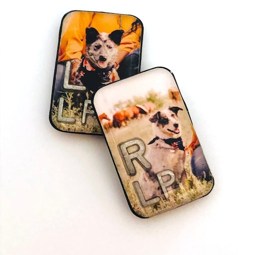 Set of 8-bit Mario Bros. & Friends Nintendo NES X-ray Markers - Etsy