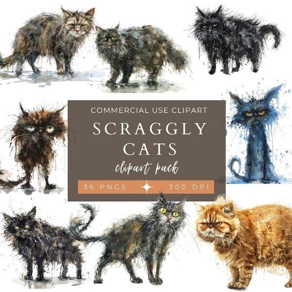 Scraggly Cats Clip Art Pack, Commercial Use, Cat Graphics, Animal ...