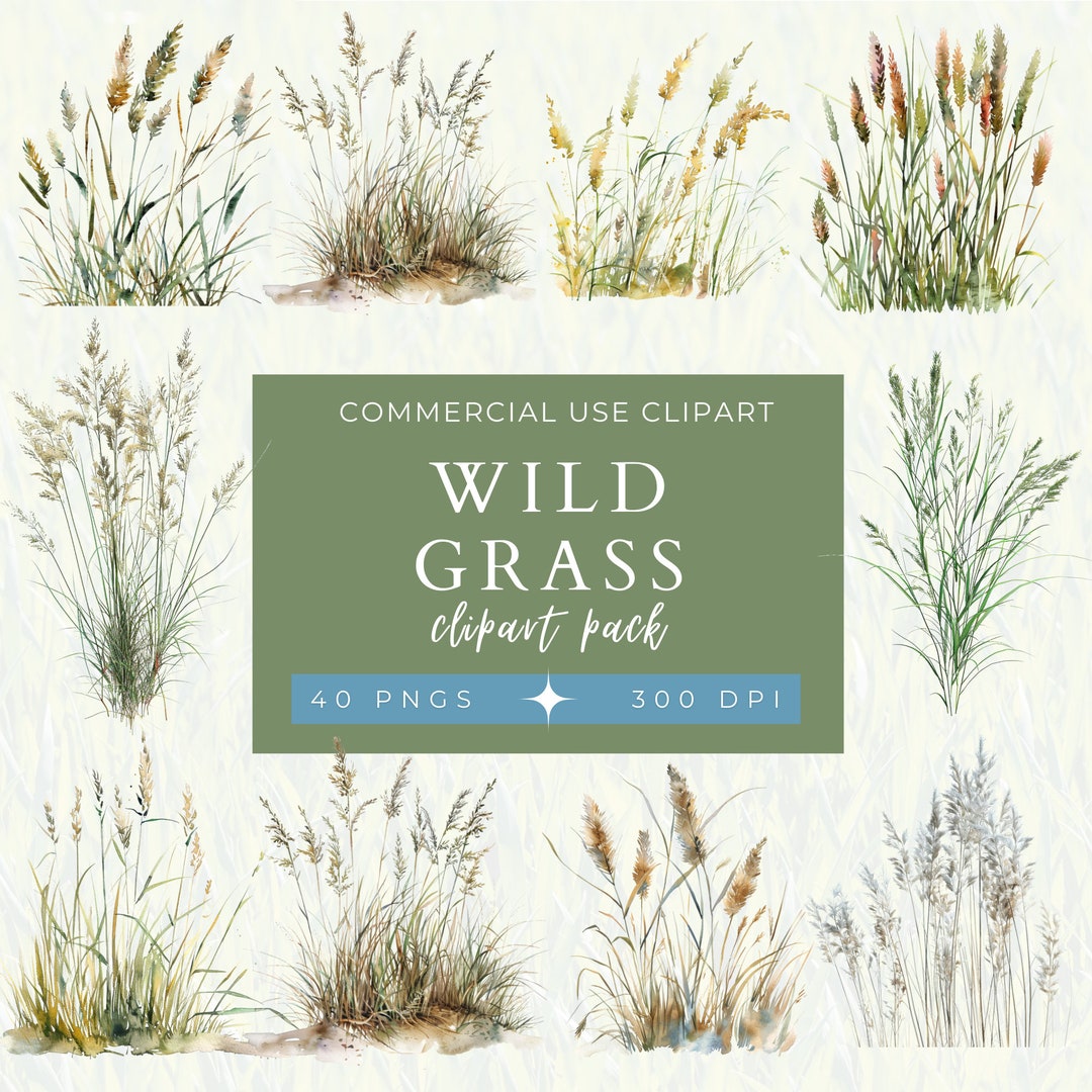 Wild Grass Clip Arts Pack, Commercial Use Clipart, Nature, Greenery ...