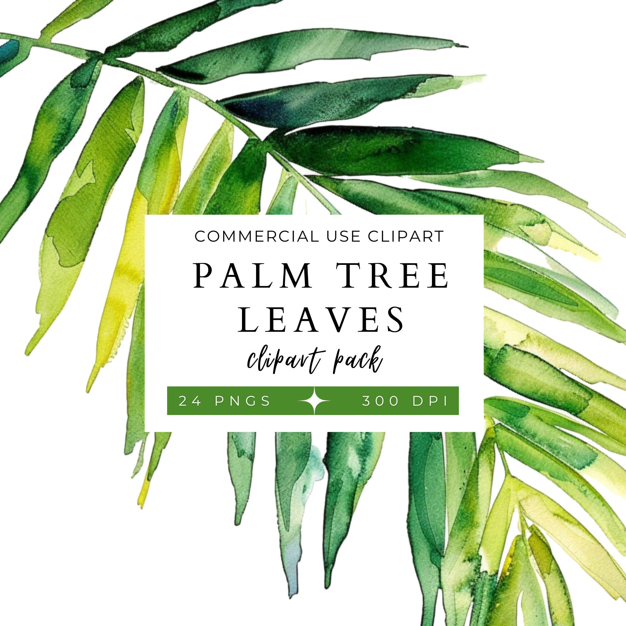 Palm Tree Leaves Clip Art Pack, Commercial Use, Leaf Arrangements ...