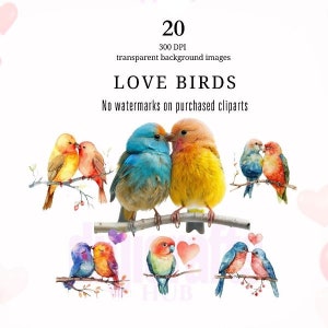 Love Birds Clip Art Pack, Commercial Use, Bird Graphics, Avian ...