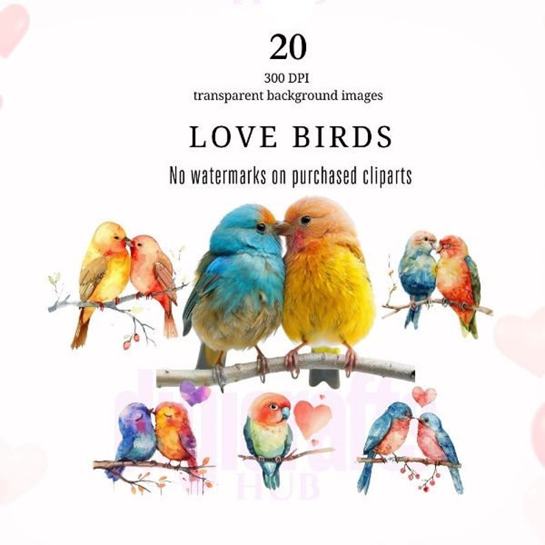 Love Birds Clip Art Pack, Commercial Use, Bird Graphics, Avian ...