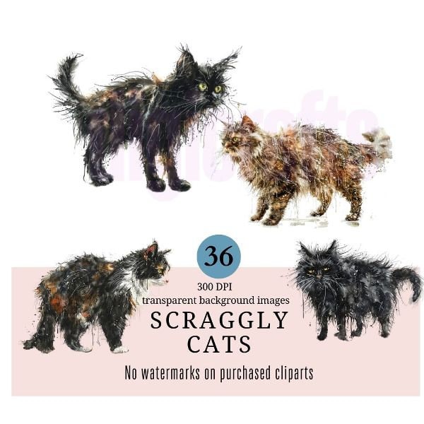 Scraggly Cats Clip Art Pack, Commercial Use, Cat Graphics, Animal ...
