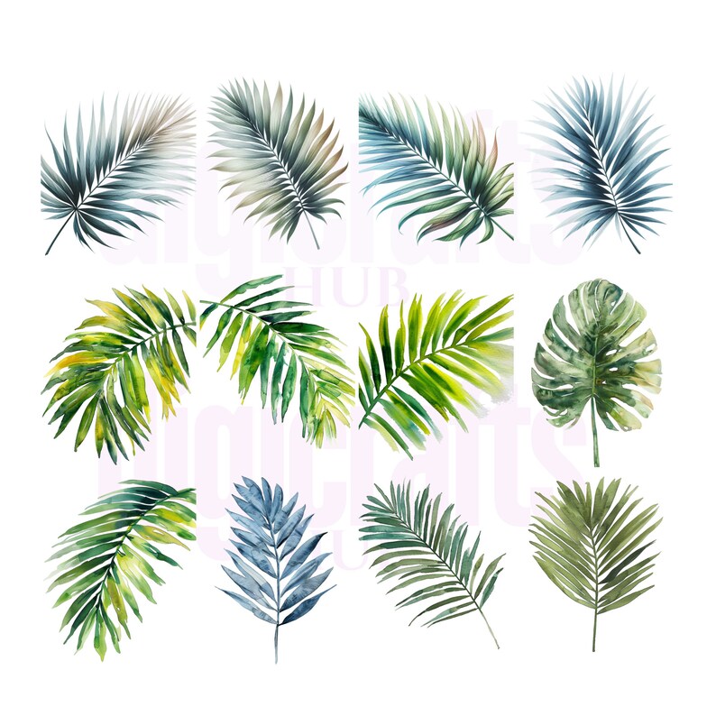 Palm Tree Leaves Clip Art Pack, Commercial Use, Leaf Arrangements ...