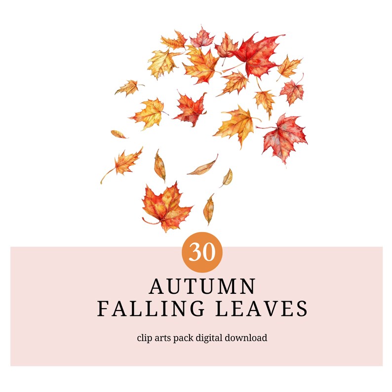 Autumn Falling Leaves Clip Art Pack, Halloween Clipart, Commercial Use ...