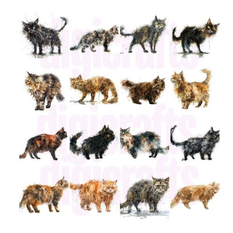 Scraggly Cats Clip Art Pack, Commercial Use, Cat Graphics, Animal ...