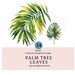 Palm Tree Leaves Clip Art Pack, Commercial Use, Leaf Arrangements ...