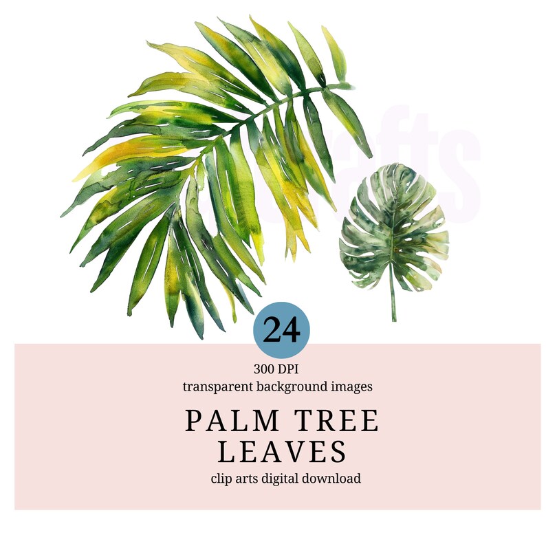 Palm Tree Leaves Clip Art Pack, Commercial Use, Leaf Arrangements ...