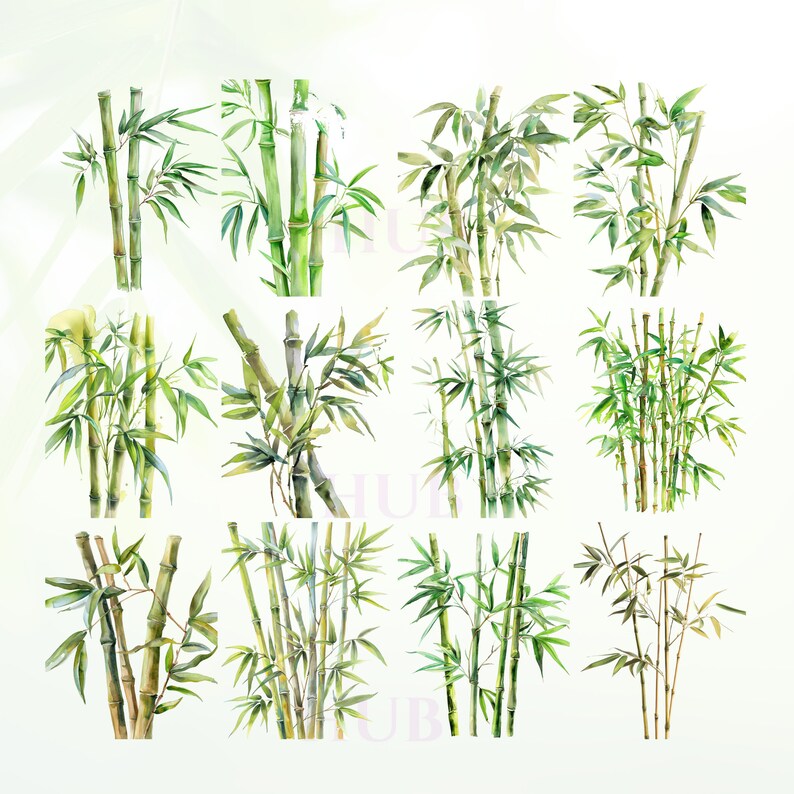20 Bamboo Trees Clip Art Pack, Commercial Use, Tropical Theme, Nature ...