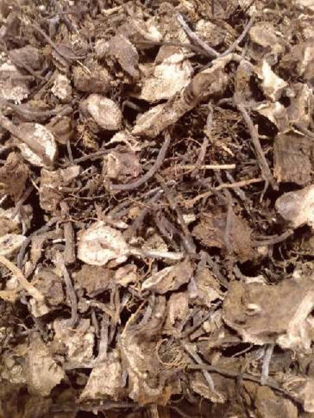 Black Cohosh Root - Etsy