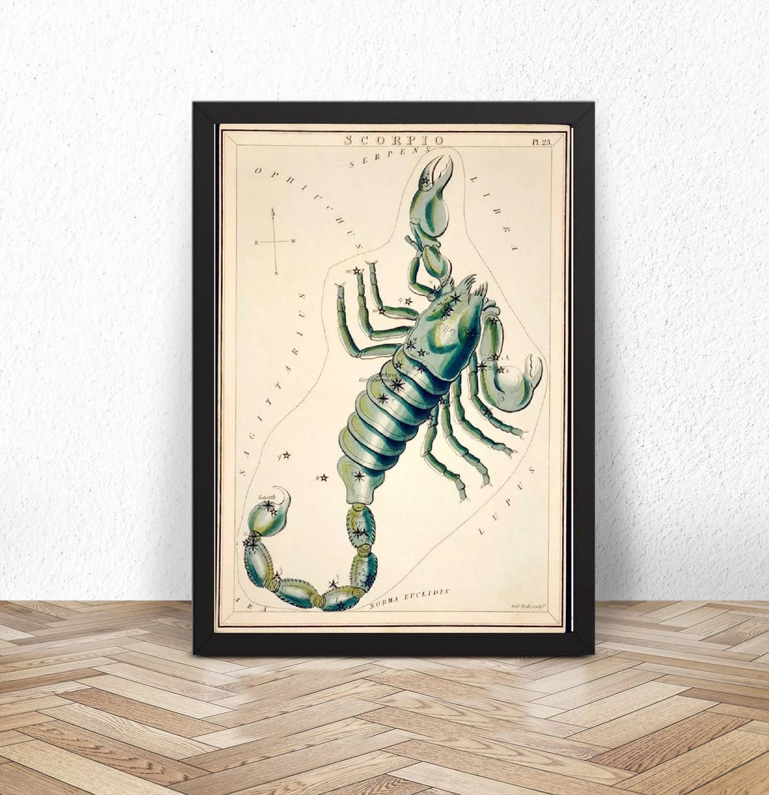 Scorpio Decor, Astrology Tarot, Wall Zodiac Scorpio Wall Art, Vintage ...