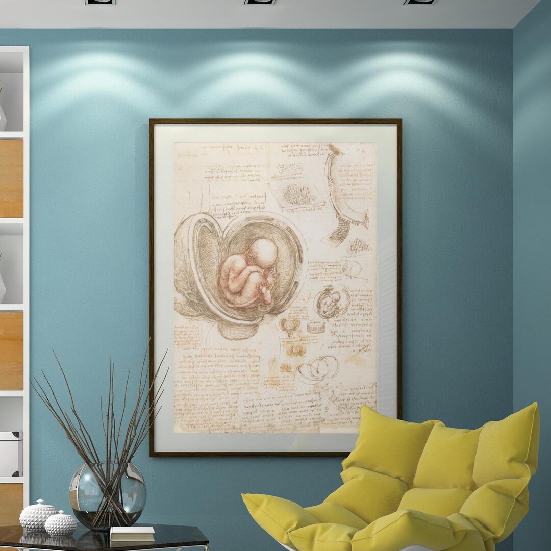 Leonardo Da Vinci, Medical Anatomical Art, the Fetus in the Womb ...