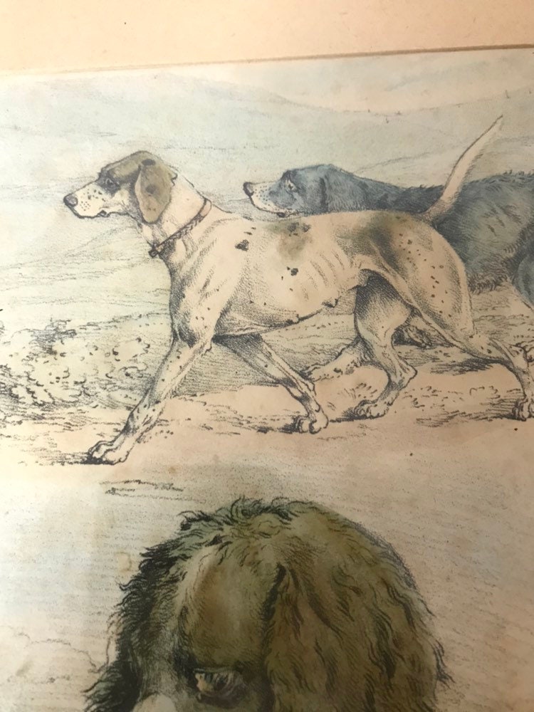 Antique Rare Henry Alken Senior Engravings Set of 8 - 1823 Hunting S ...