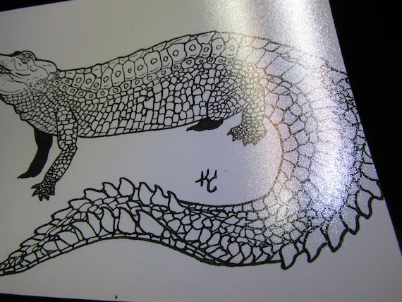Knucker Dragon