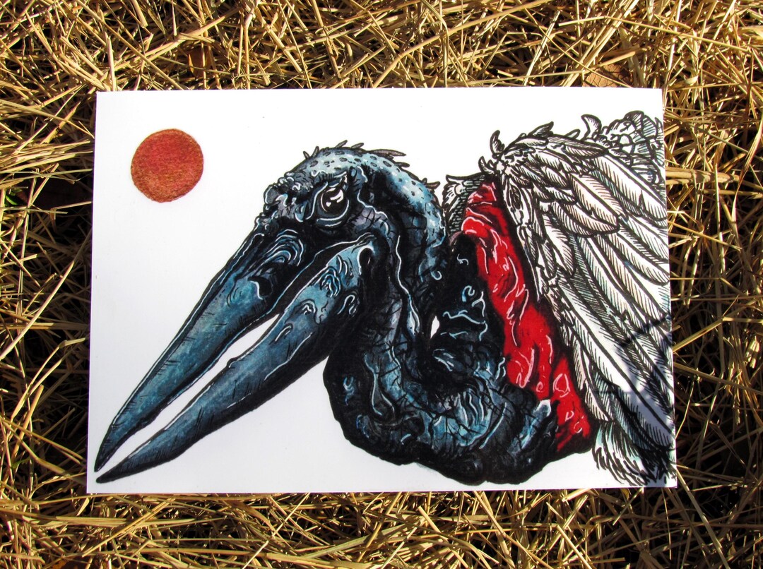 Jabiru Stork, PRINT - Etsy