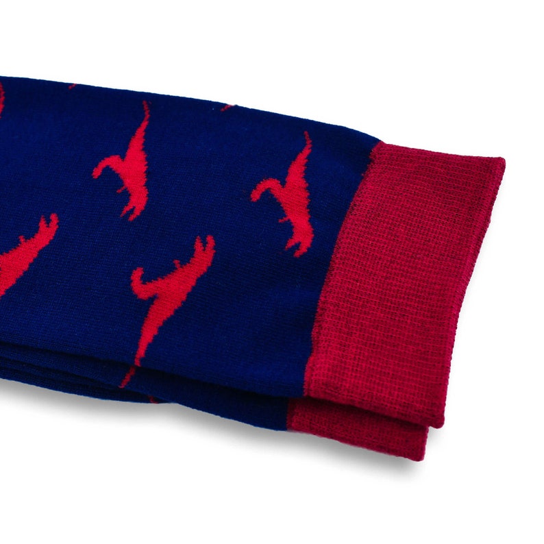 Premium Bamboo Socks, Men's Dress Socks / Red Socks / Dinosaur Socks ...