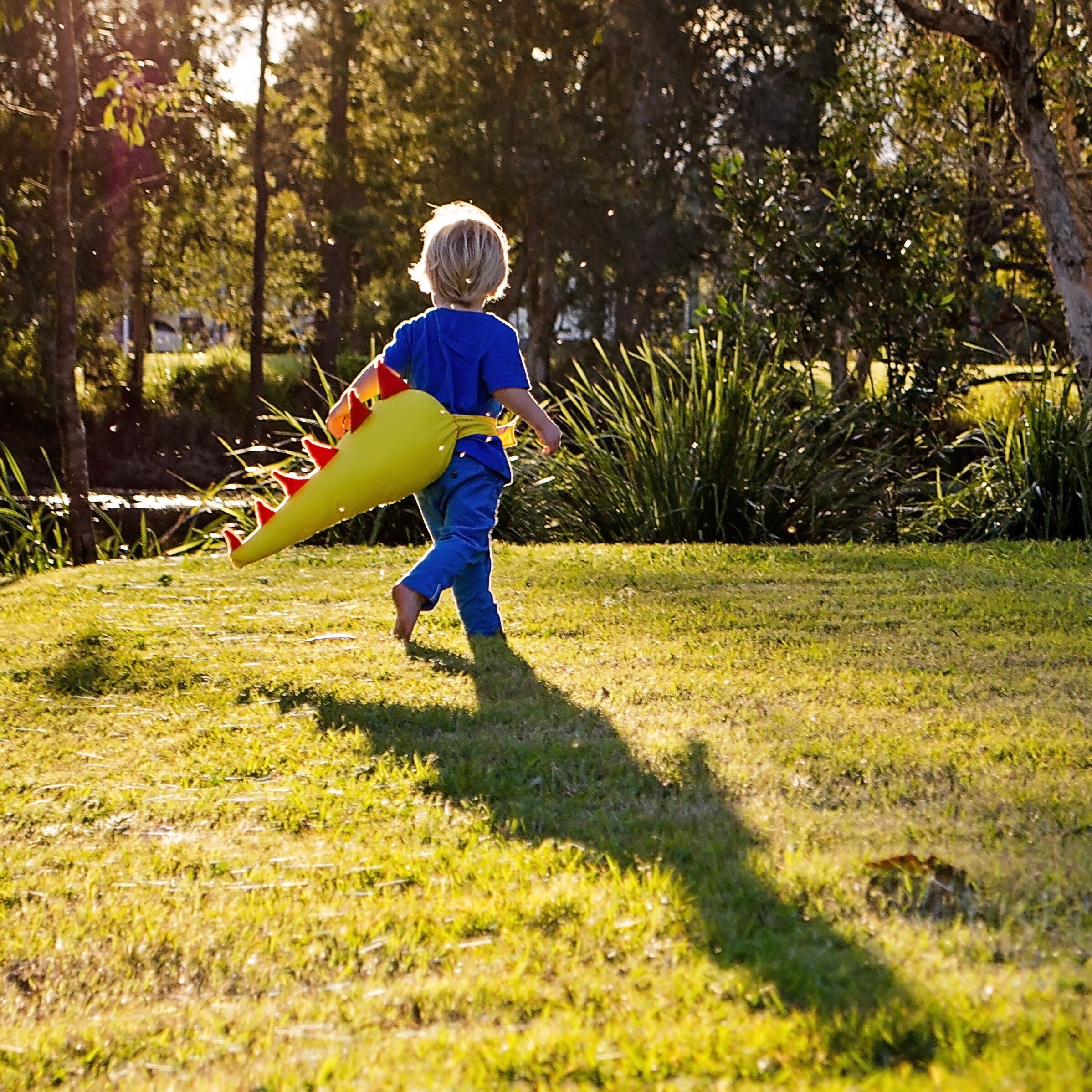 Handmade Dinosaur Tail for Pretend Play - Etsy Australia