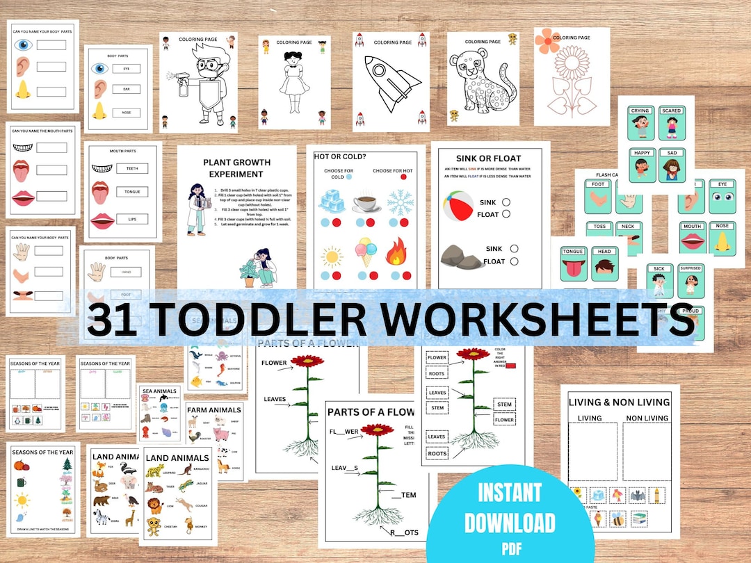 Science Worksheets, Sorting Worksheets, Kindergarten, Primary School ...