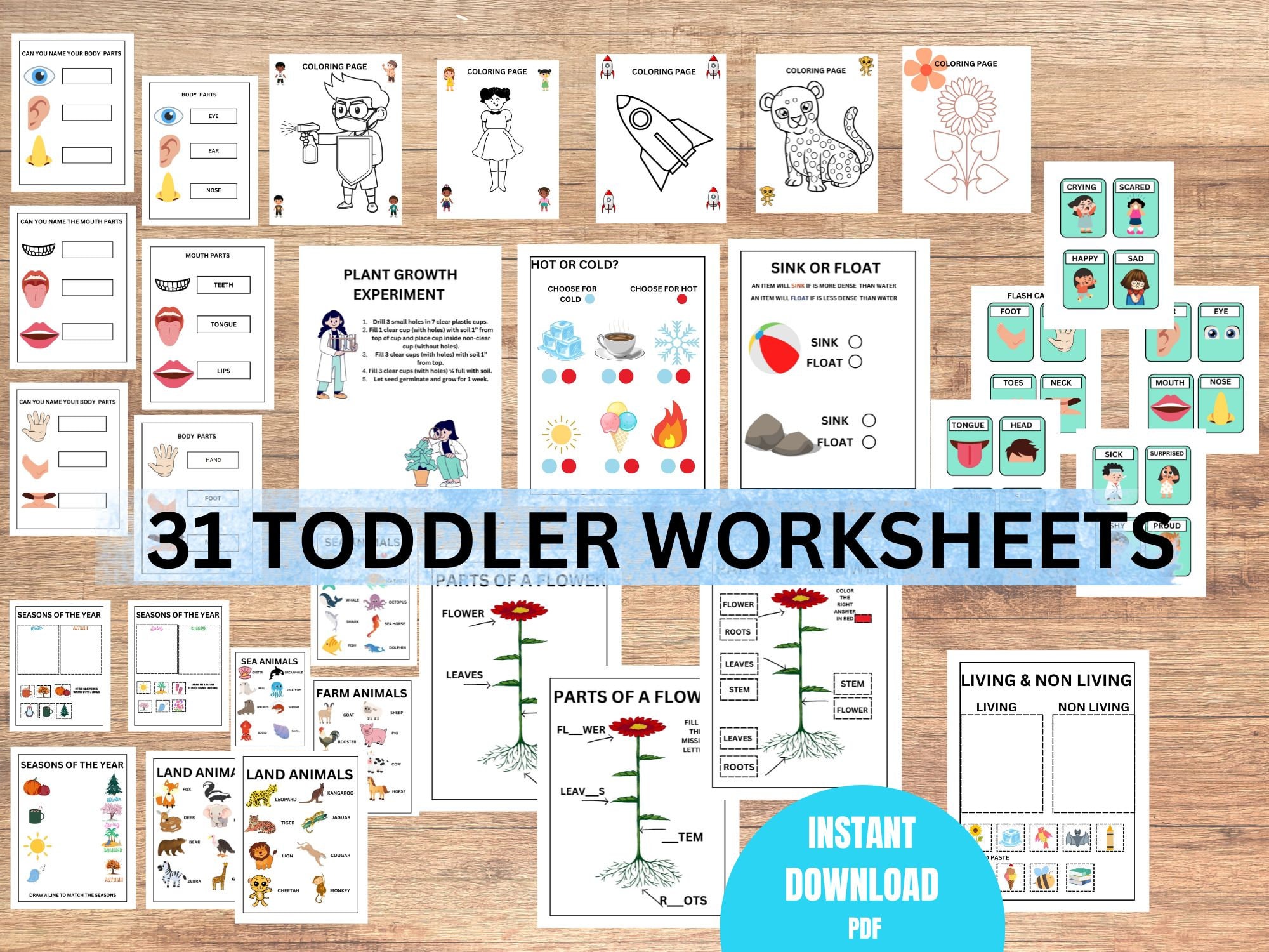 Science Worksheets, Sorting Worksheets, Kindergarten, Primary School ...