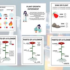 Science Worksheets for Toddlers | Sorting & Coloring Pages PDF ...