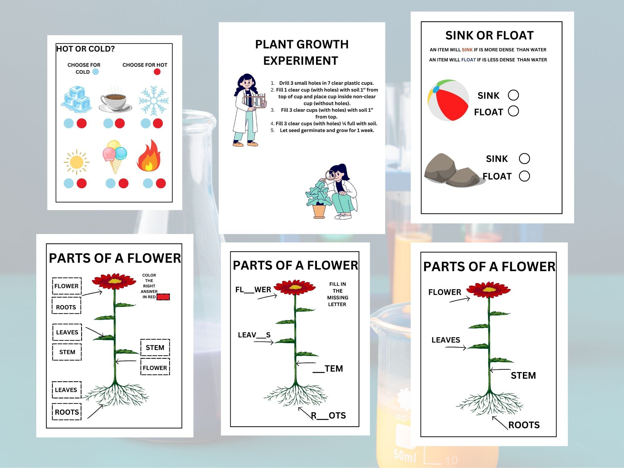Science Worksheets, Sorting Worksheets, Kindergarten, Primary School ...
