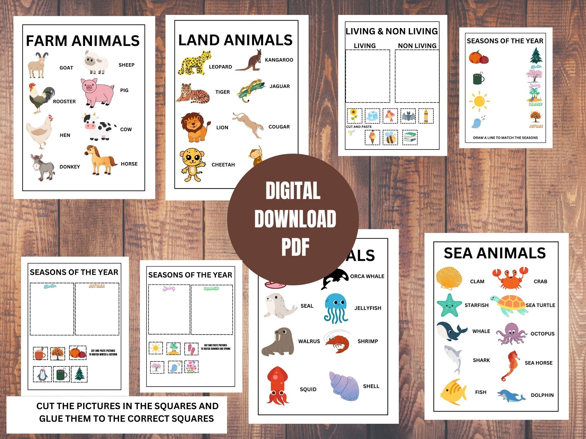 Science Worksheets, Sorting Worksheets, Kindergarten, Primary School ...