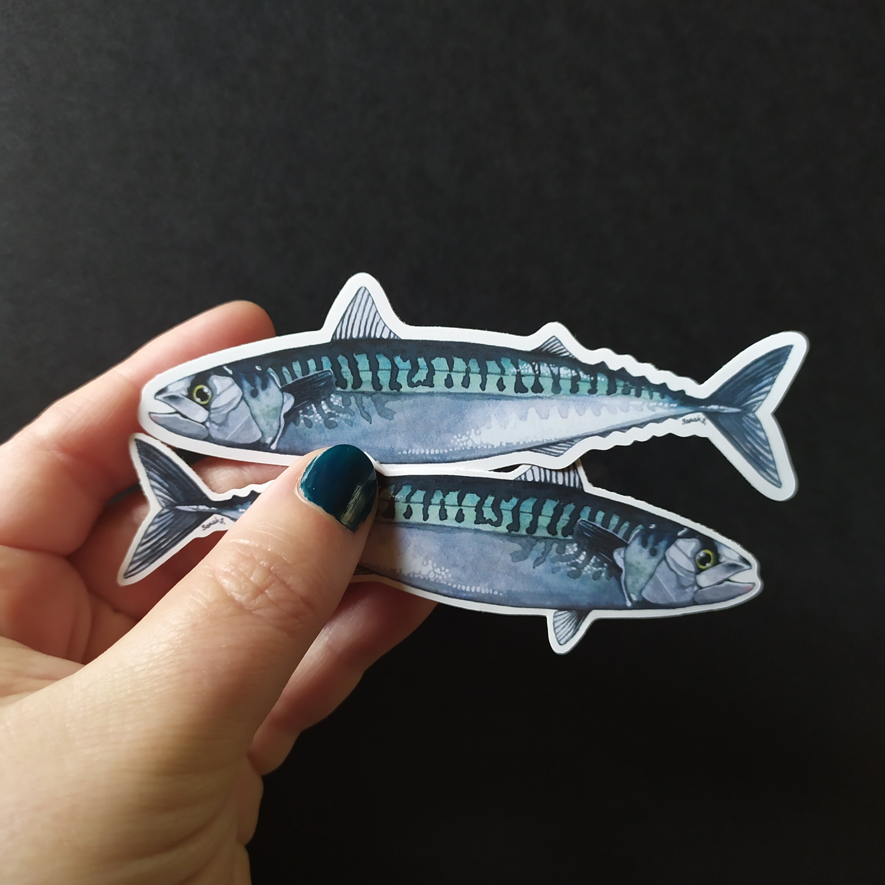 Fish Themed Vinyl Stickers Unit or Set - Neon - Tetra Cardinalis or ...
