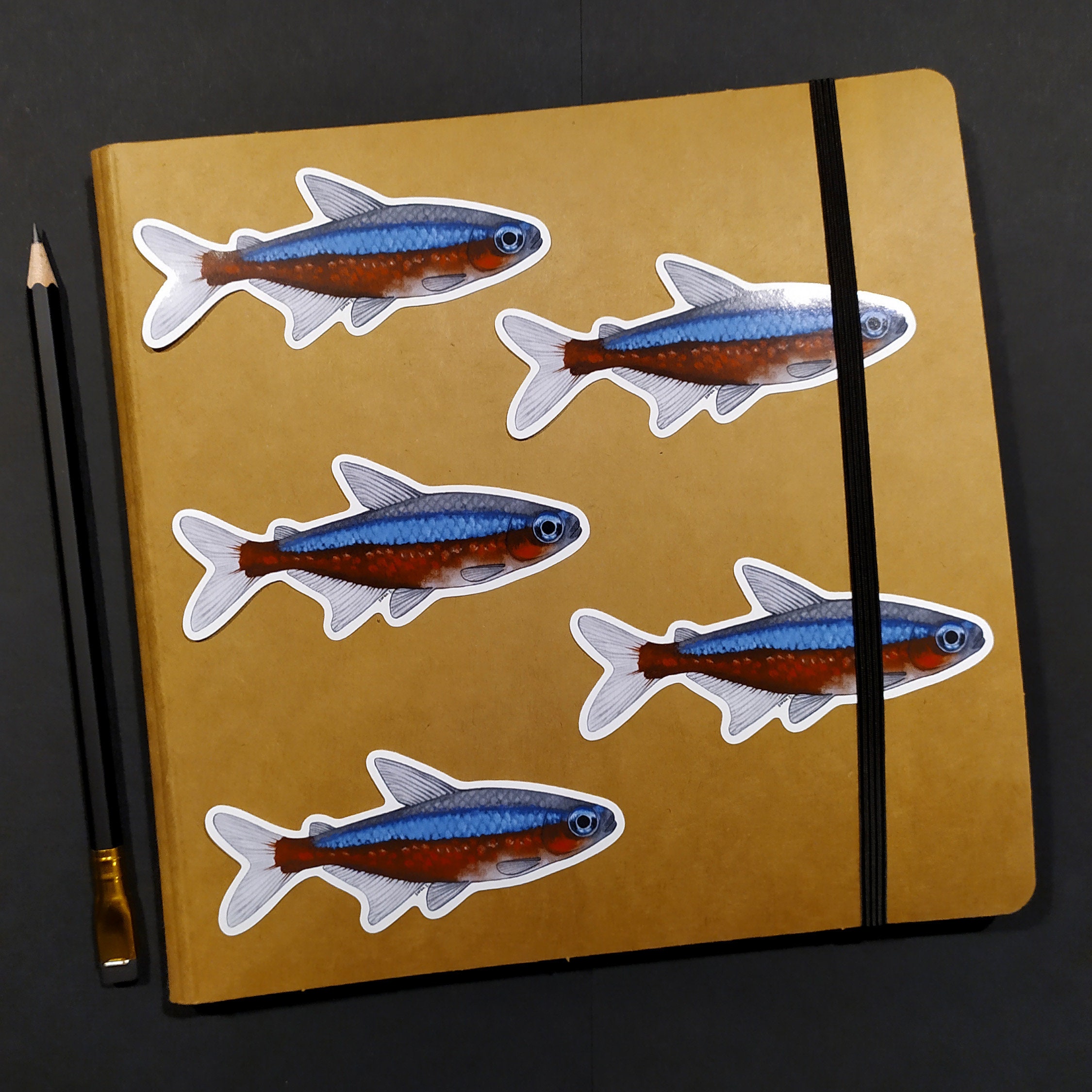 Fish Themed Vinyl Stickers Unit or Set - Neon - Tetra Cardinalis or ...
