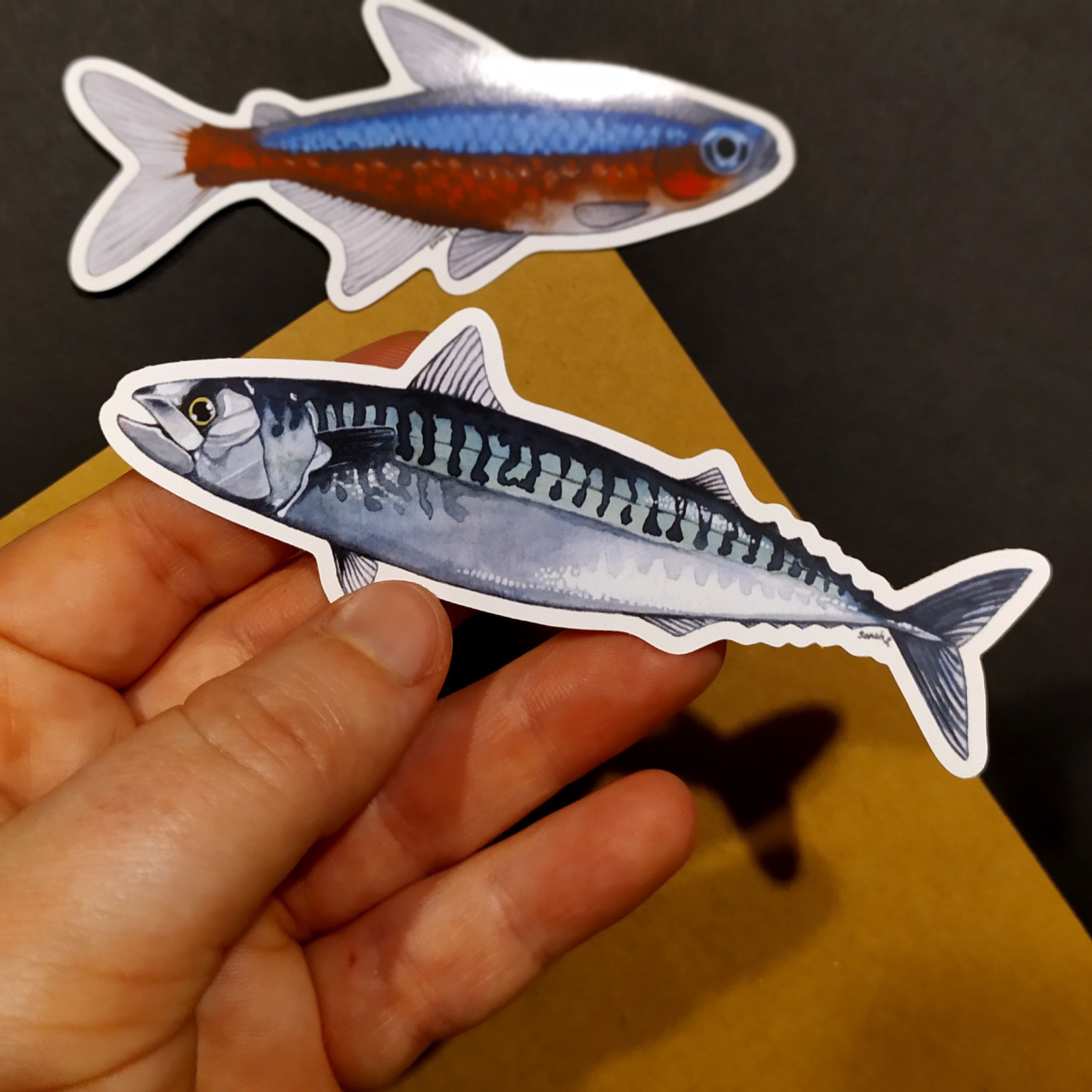 Fish Themed Vinyl Stickers Unit or Set - Neon - Tetra Cardinalis or ...