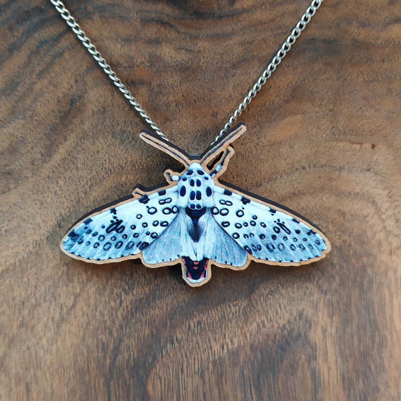 Leopard Moth - Etsy