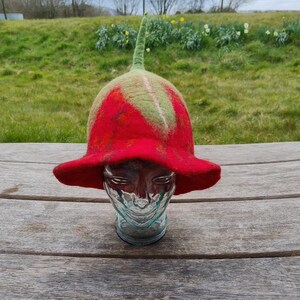Strawberry Fruit Felt Hat Pointy Pixie Fairy Elf Felted Wool Hat Funky ...