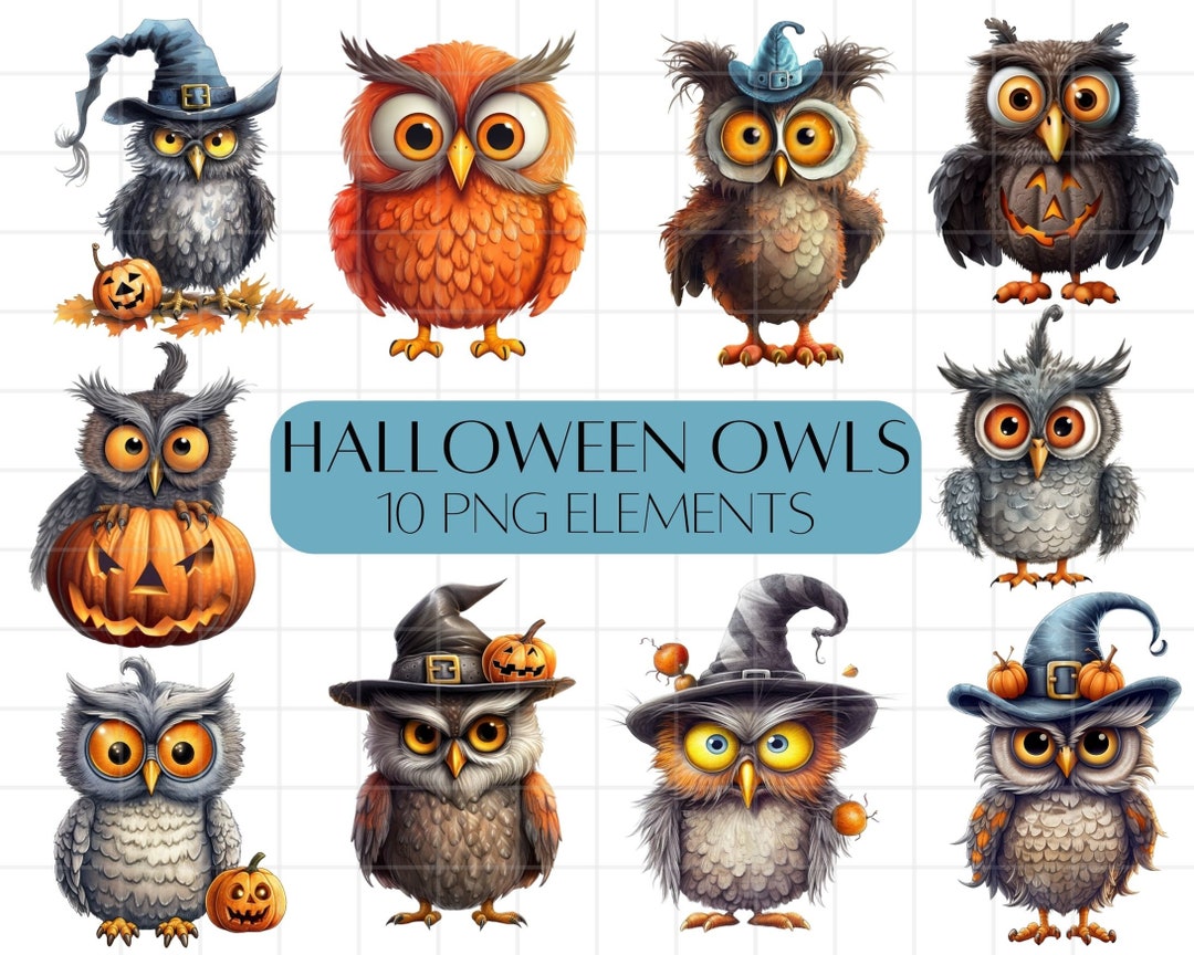Owl Clipart Bundle Halloween Animals Clipart Commercial Use - Etsy