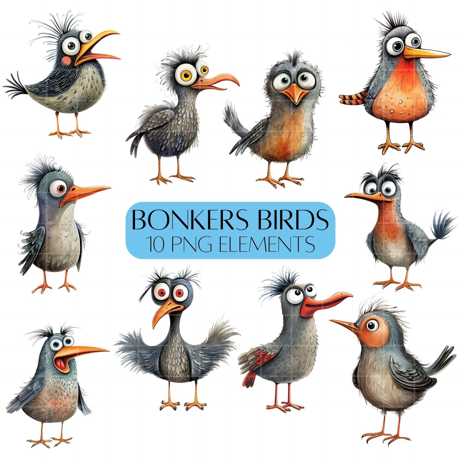 Bird Clipart Set for Use on Products Cute and Funny Looking Birds ...