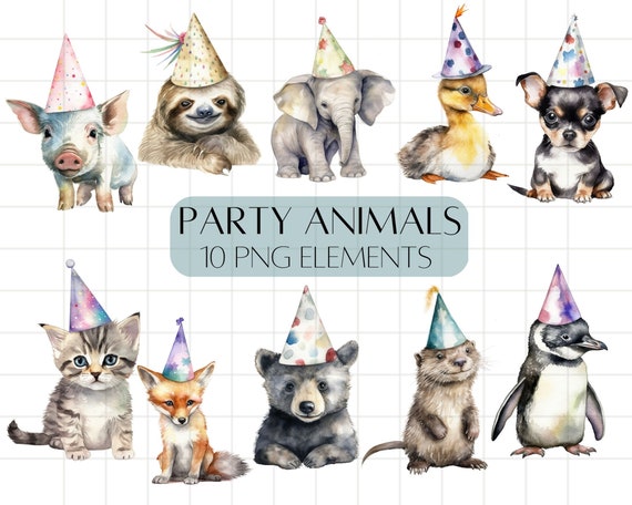 Cute Animals Wearing Hats
