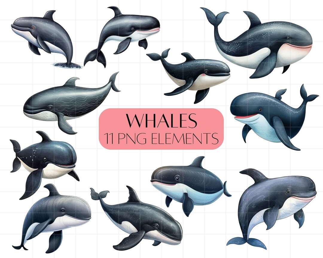 Whale Clipart Set Sea Themed Clipart Commercial Use Cute - Etsy