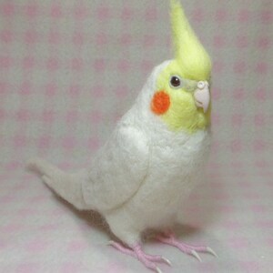 Cockatiel ・1 :wool Parakeet stuffed Animals - Etsy