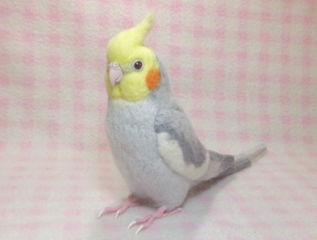 Cockatiel :wool Cockatiel ・1/1 Size stuffed Animals - Etsy