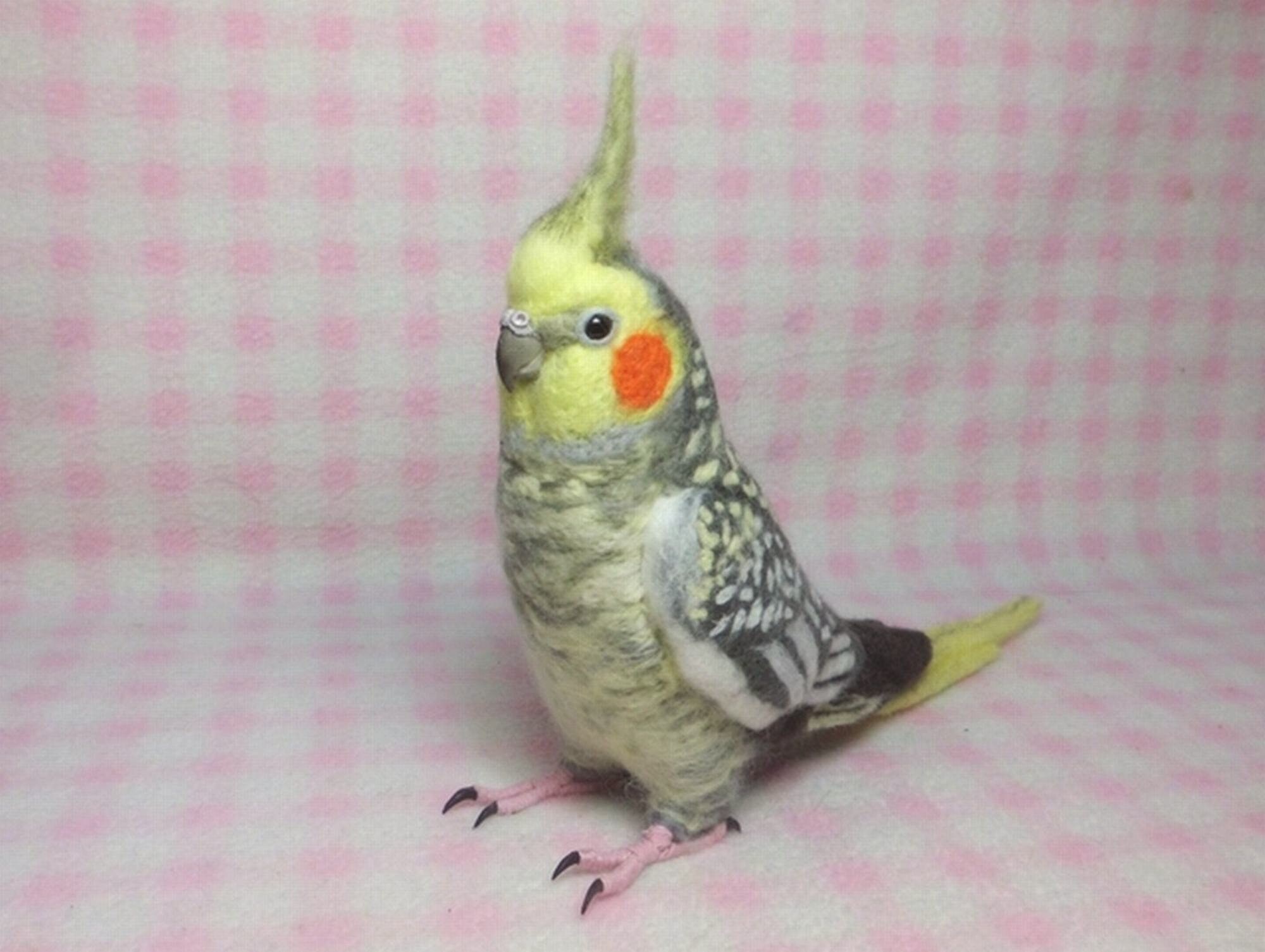 Cockatiel : wool Parakeet stuffed Animals - Etsy