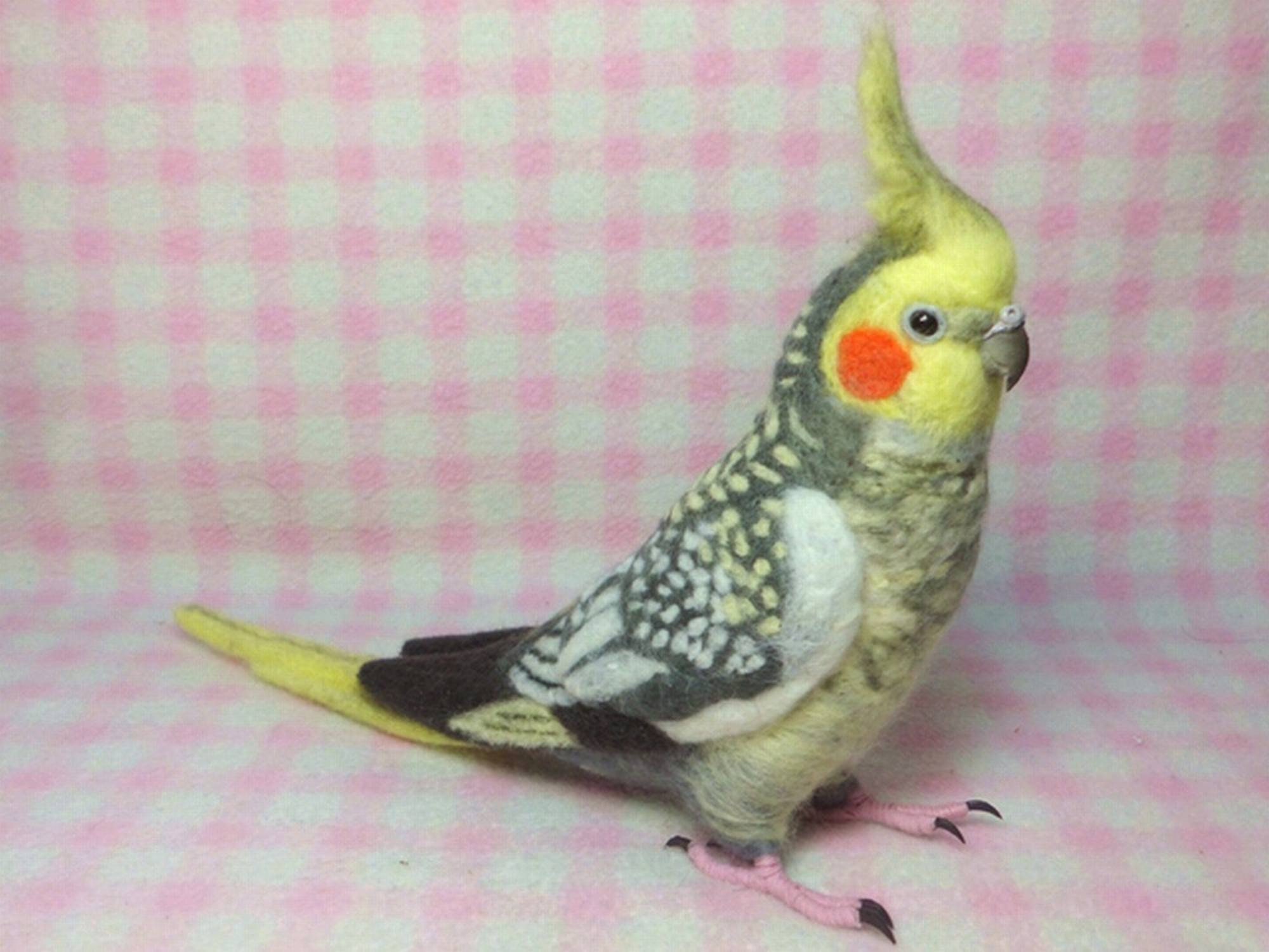 Cockatiel : wool Parakeet stuffed Animals - Etsy